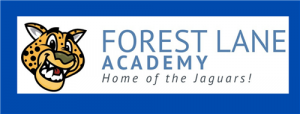 About Our School – Forest Lane Academy