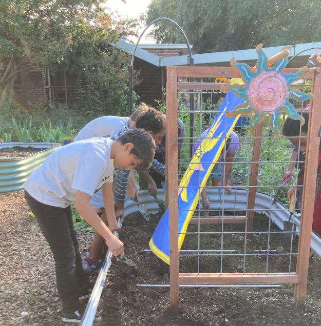 MST the Place to Be – MST Magnet