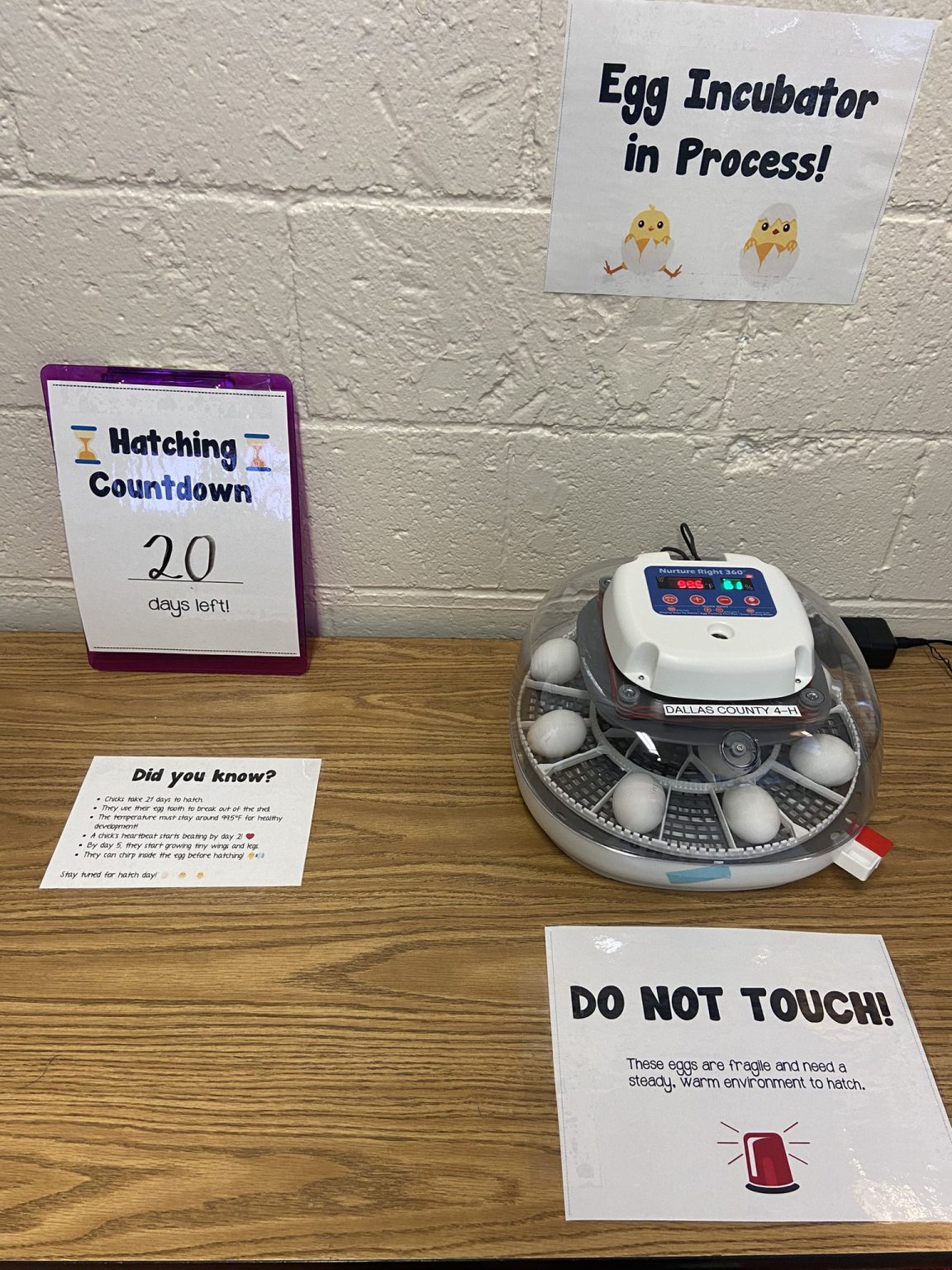 MST Magnet – An Exemplary School!