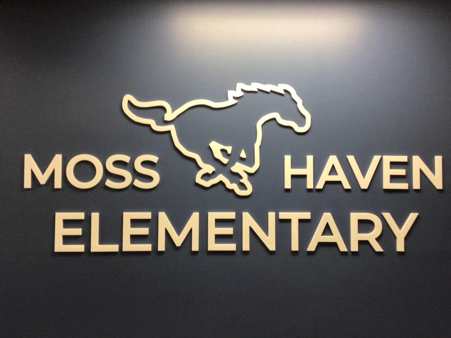 About Our School – Moss Haven Elementary